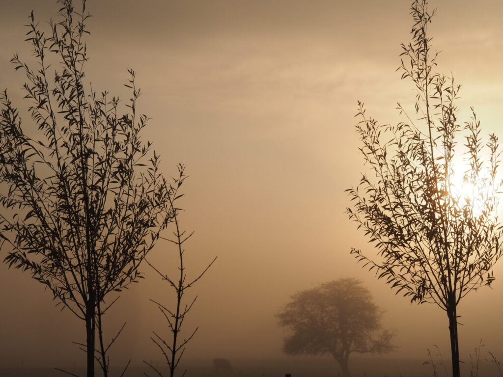 De natuur van hier